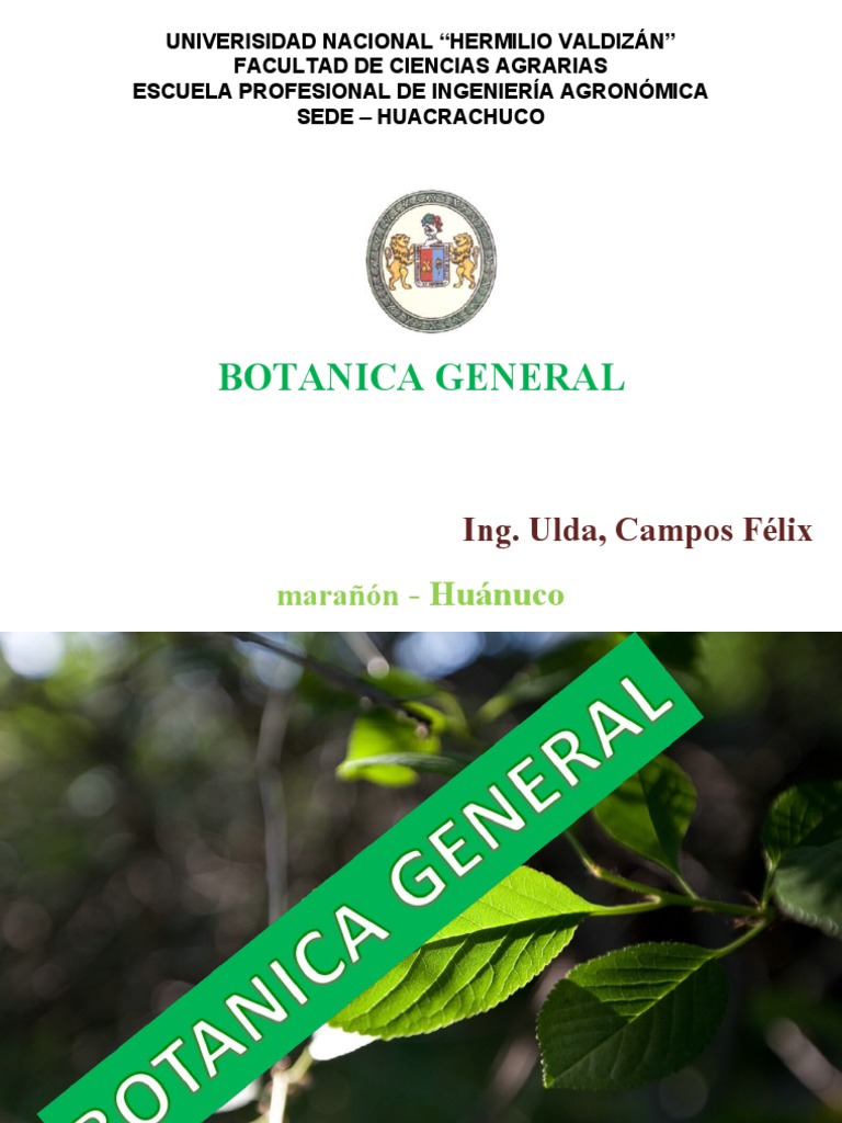 Introduccion A La Botanica General | PDF | Hoja | Germinación Introduccion A La Botanica General | PDF | Hoja | Germinación