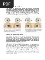 Understanding Extraocular Muscle Movements | PDF | Human Anatomy | Eye