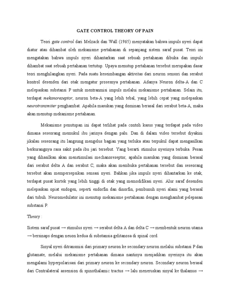 Gate Control Theory of Pain | PDF