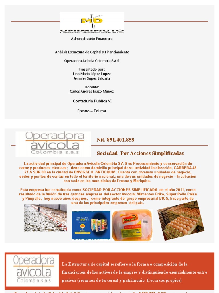 Presentacion Analisis Financiero Opav Colombia Sas | PDF | Compartir ...