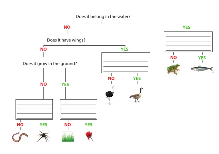 Animalflowchart 2 | PDF