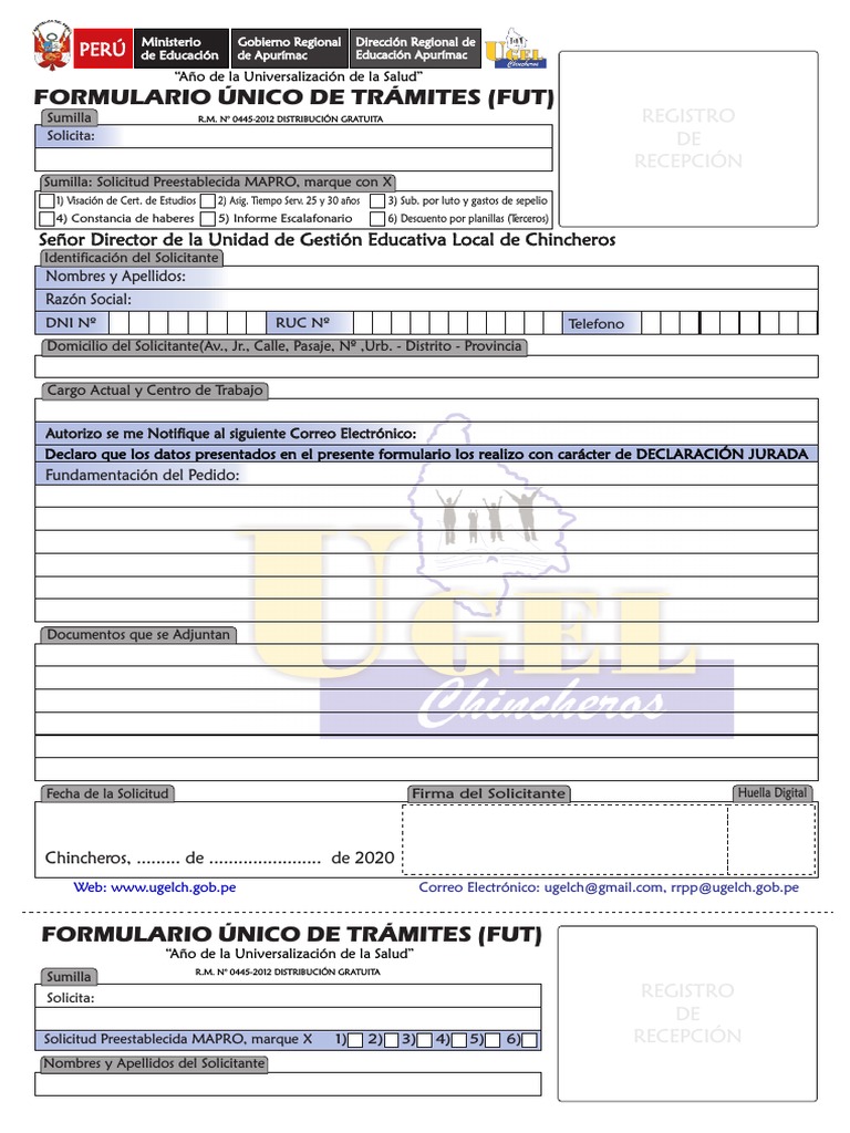 Fut 2020 PDF | PDF | Gobierno y personalidad | Autenticación