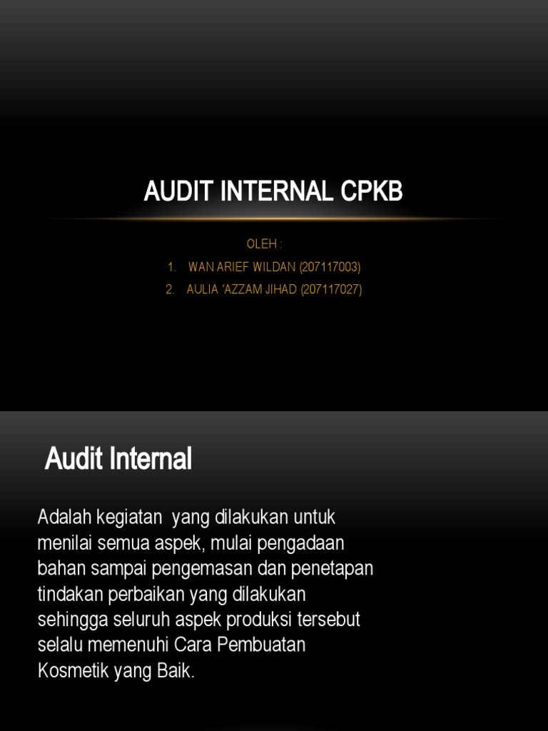 Audit Internal CPKB | PDF