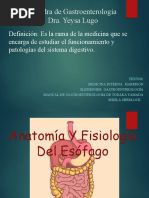 Anatomia de La Vulva | PDF | Vagina | Ginecología
