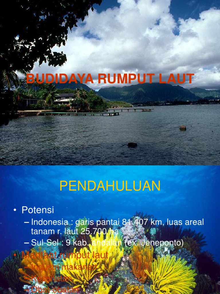 Budidaya Rumput Laut | PDF