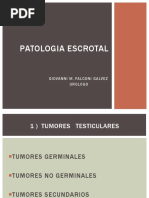 Evaluacion Primaria y Secundaria | PDF | Reanimación cardiopulmonar | Primeros auxilios