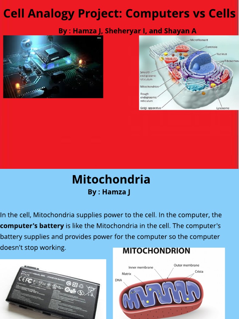 Computer Cell Analogy Project | PDF | Cell Nucleus | Cell (Biology)