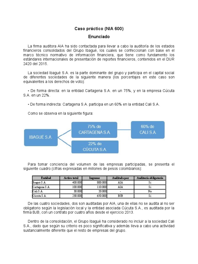 Caso Práctico Nia 600 | PDF | Auditoría | Contralor