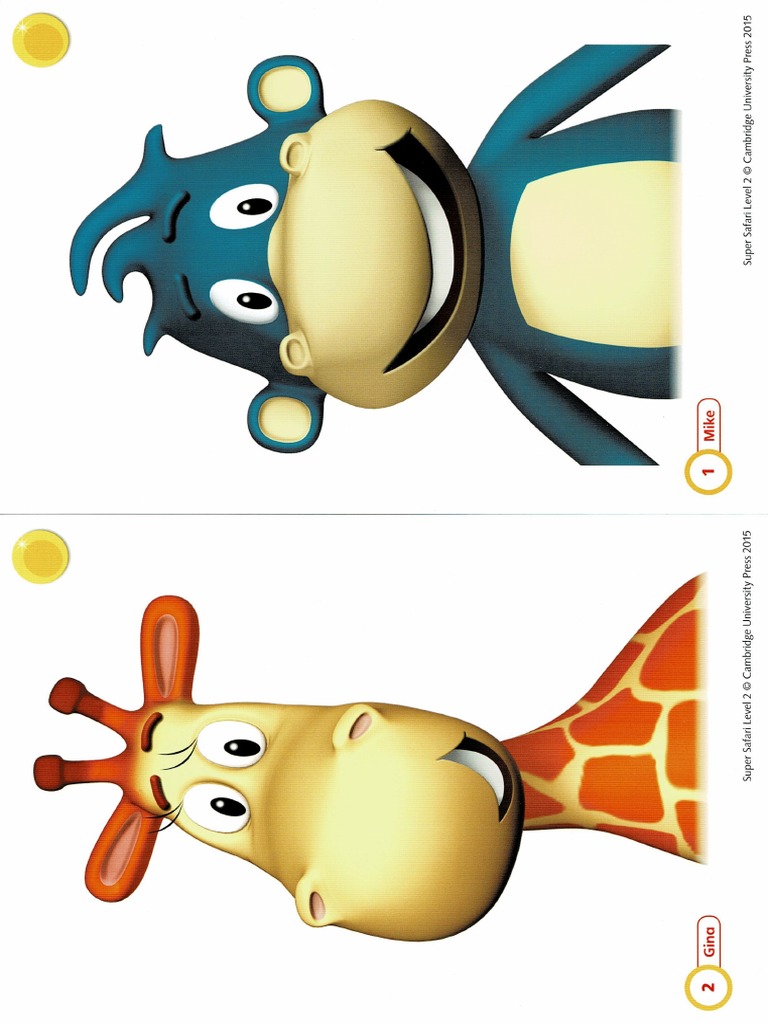 Super Safari 2 Flashcards | PDF