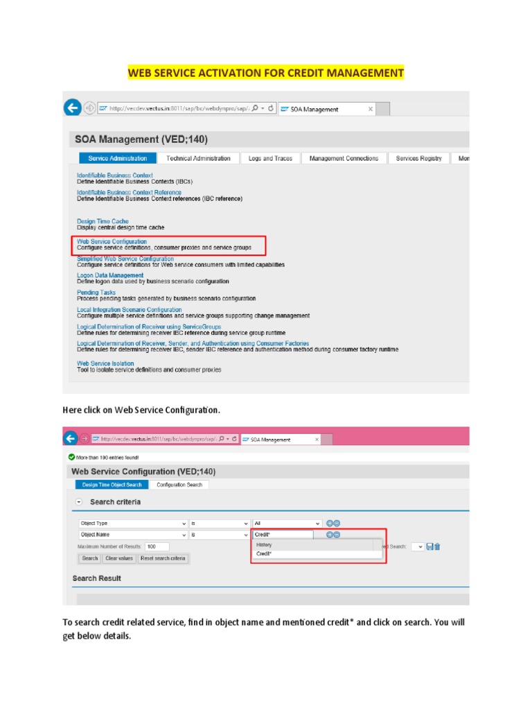 Web Service Activation For Credit Management | PDF