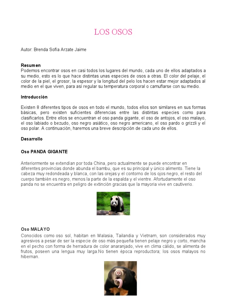 Los Osos | PDF | Osos | Oso polar