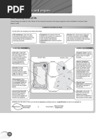 Cusack Protocol .. Supplement Dosages Information Chart. Word PDF | PDF ...