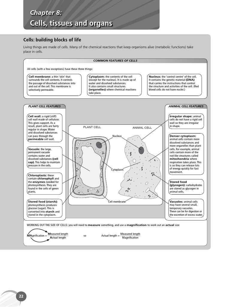 Cells, Tissues and Organs | PDF | Tissue (Biology) | Cell (Biology)