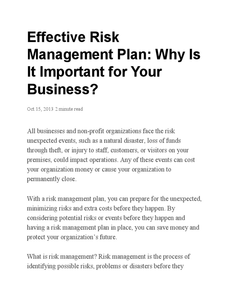 Effective Risk Management Plan | Download Free PDF | Risk Management ...