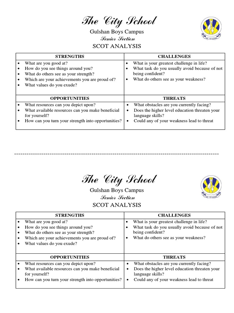 The City School: Scot Analysis | PDF | Cognition | Business