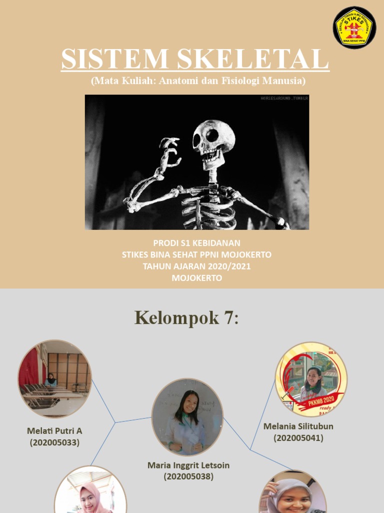 Sistem Skeleton | PDF
