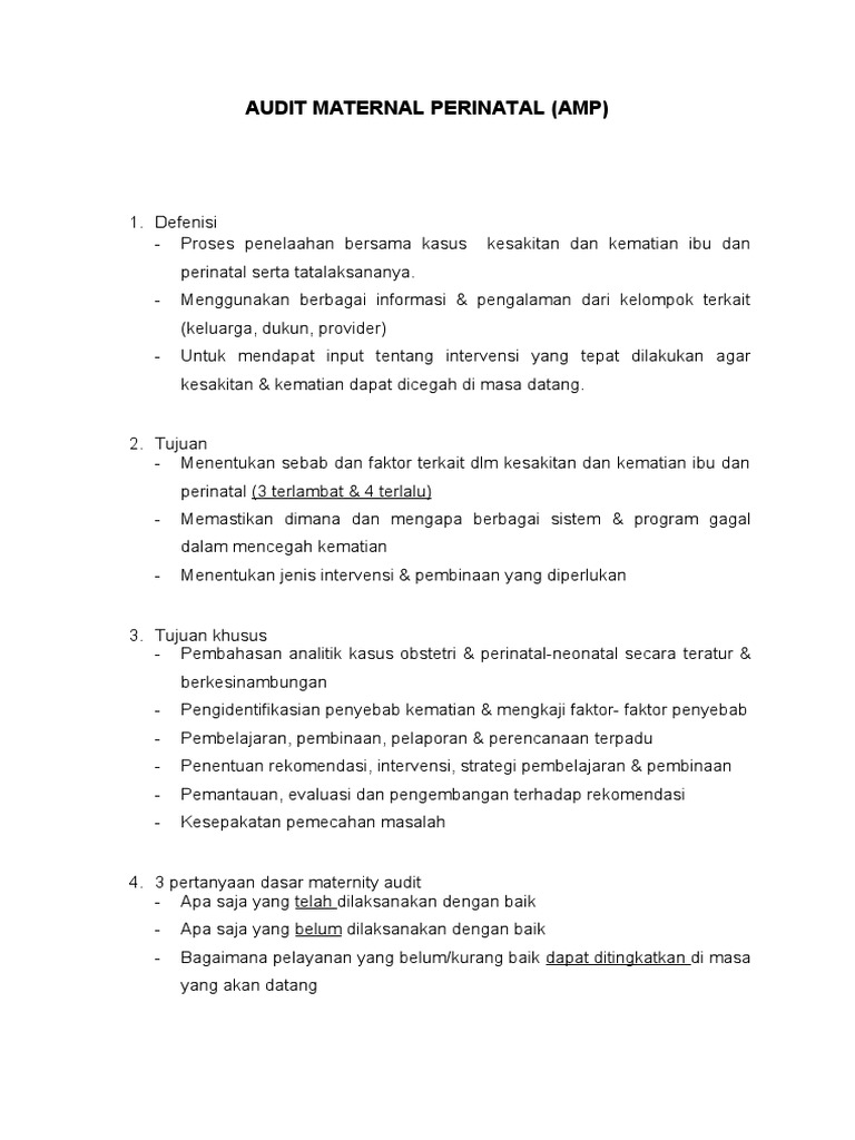 Audit Maternal Perinatal | PDF