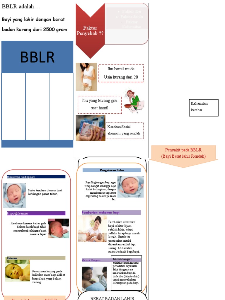 Leaflet BBLR | PDF