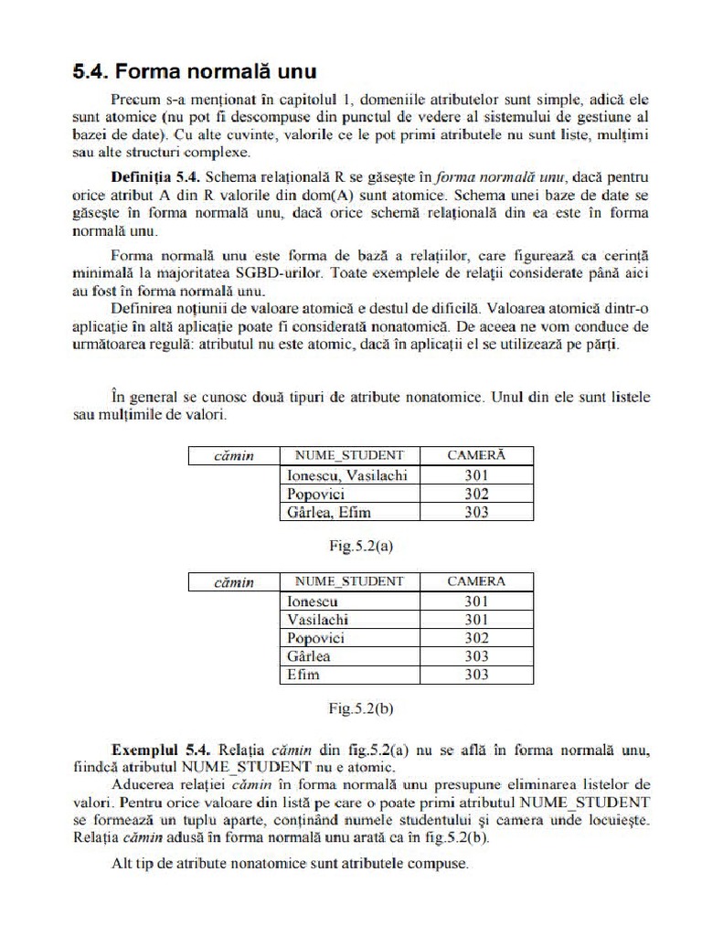 Formele Normale FN1, FN2, FN3, FNBC | PDF