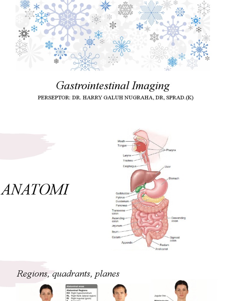 HERRING BONE SIGN | PDF