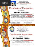 Ict Coordinator Esat Certification Template | PDF