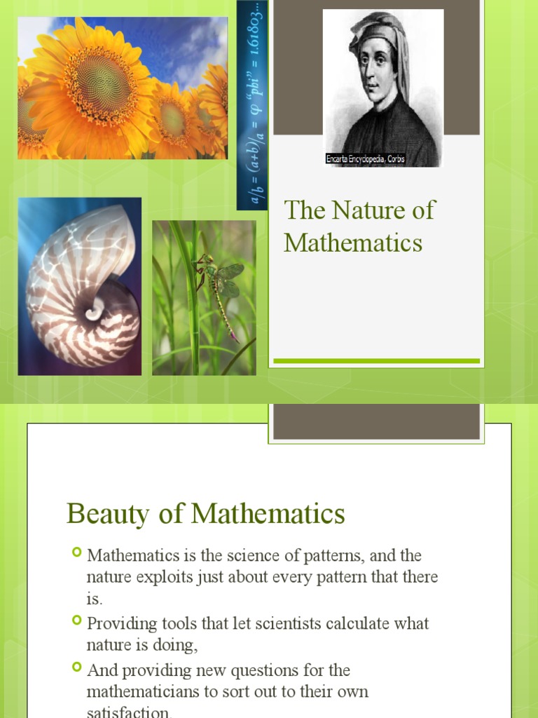 The Nature of Mathematics | PDF | Pattern | Teaching Mathematics