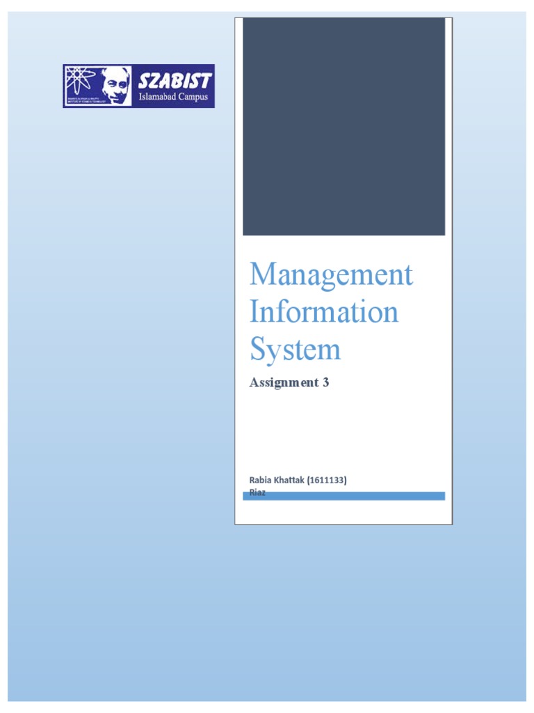 Management Information System: Assignment 3 | PDF | Banks | Decision Making