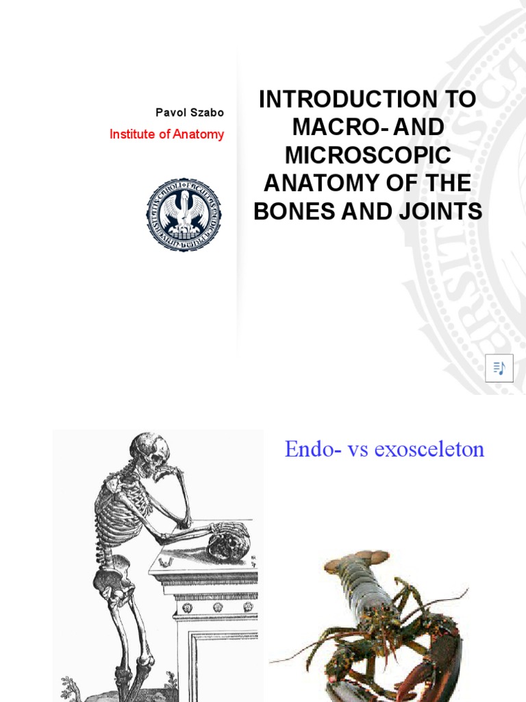 Introduction To Macro-And Microscopic Anatomy of The Bones and Joints ...