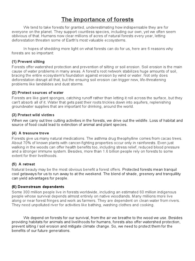 6 Essential Benefits of Forests | PDF | Deforestation | Forests