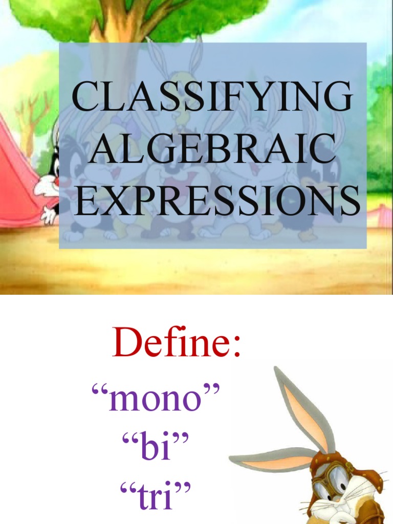 Classifying Algebraic Expressions | PDF | Polynomial | Mathematics Of ...