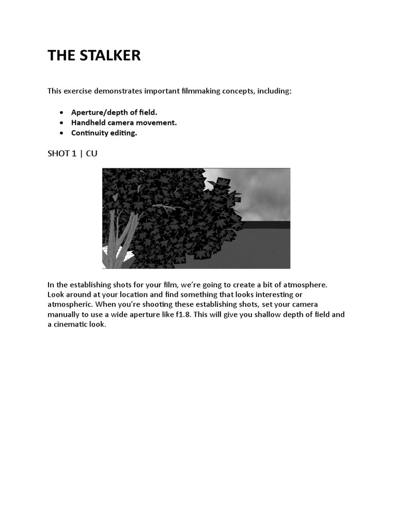The Stalker | PDF | Camera | Imaging