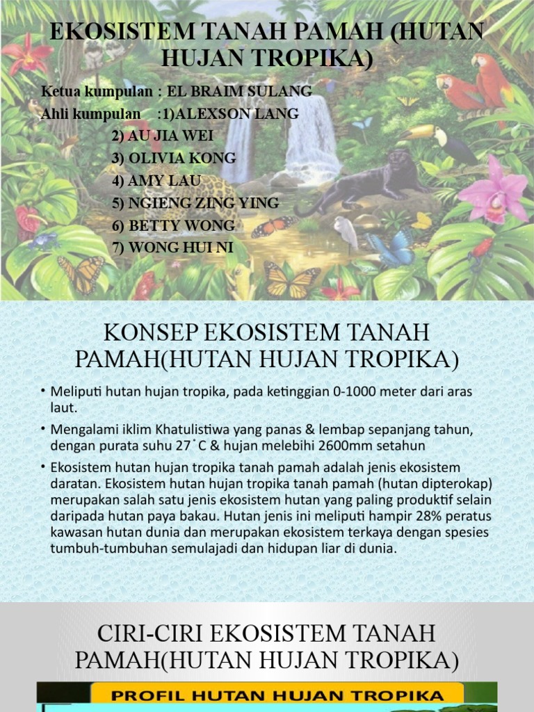 Ekosistem Hutan Hujan Tropika | PDF