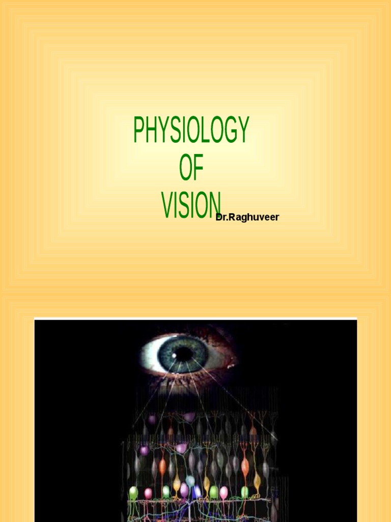 Physiology Of Eye Pdf Retina Vision