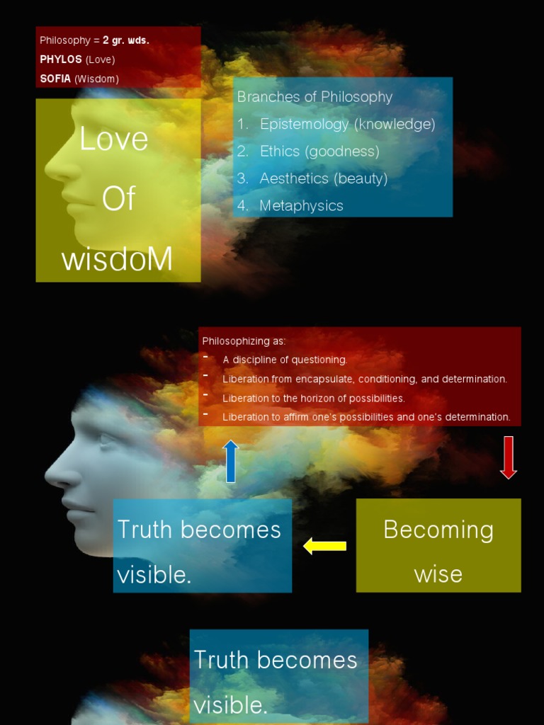 What Is Philosophy | PDF | Rationalism | Reason