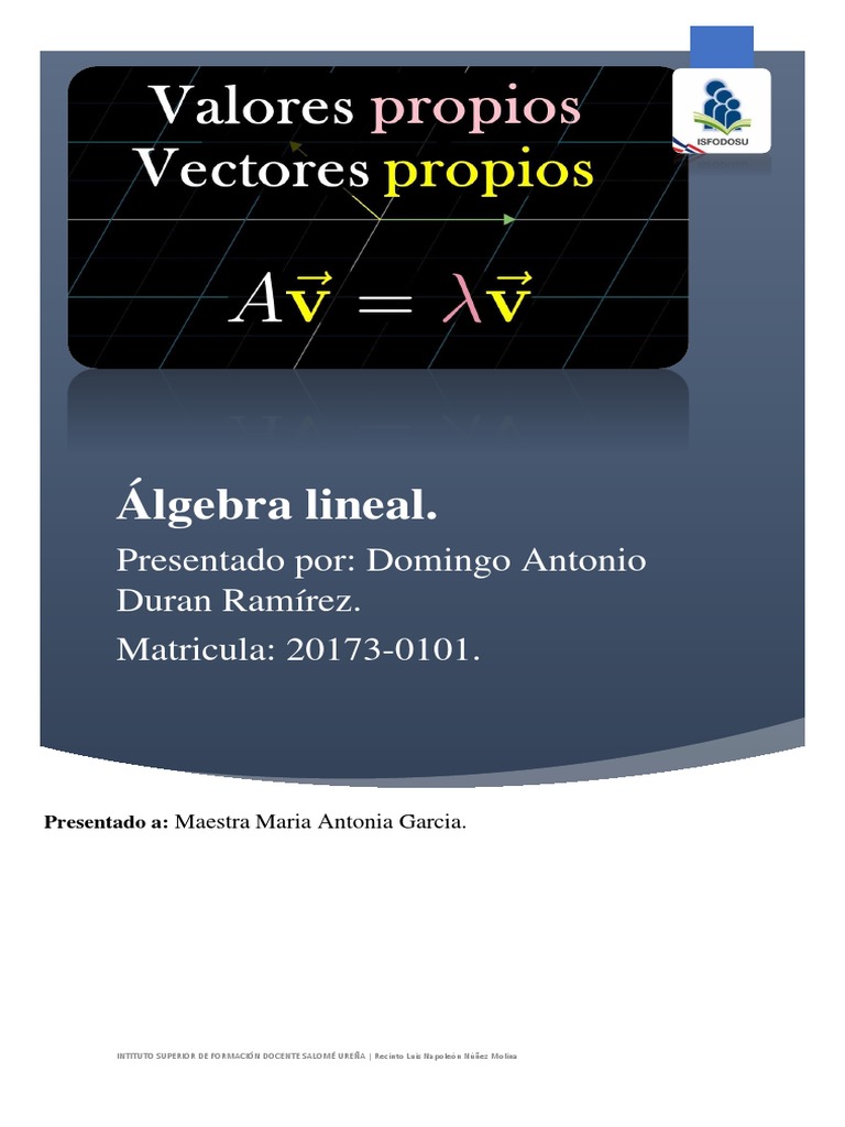Mapa Conceptual de Algebra Lineal de Domingo Duran PDF | PDF | Valores propios y vectores ...