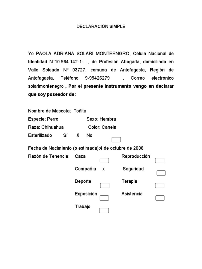 Declaracion Simple Poseedor | PDF
