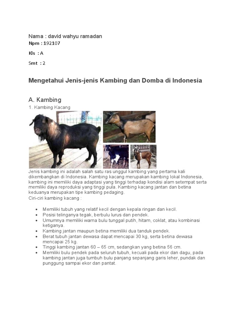 Jenis-Jenis Kambing di Indonesia | PDF