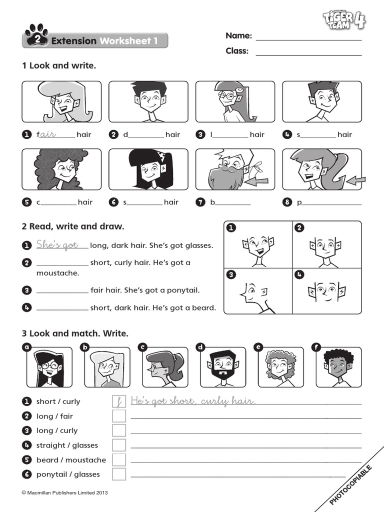 Extension: Worksheet 1 | PDF | Human Hair | Hair