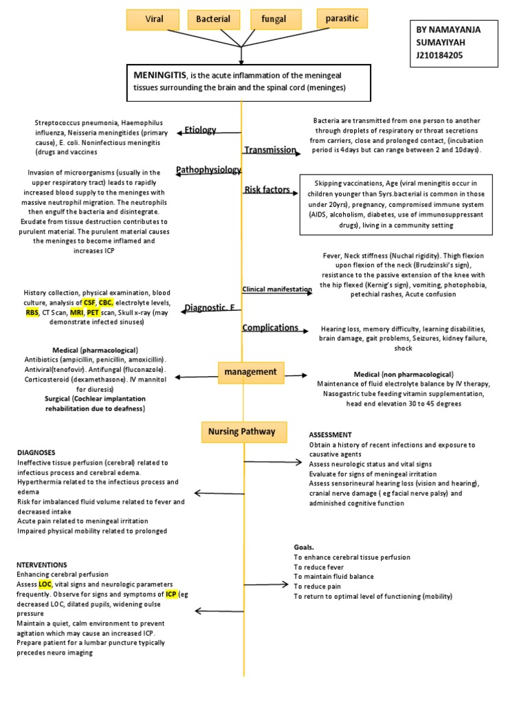 Meningitis and Fractures Concept Map | PDF | Meningitis | Clinical Medicine