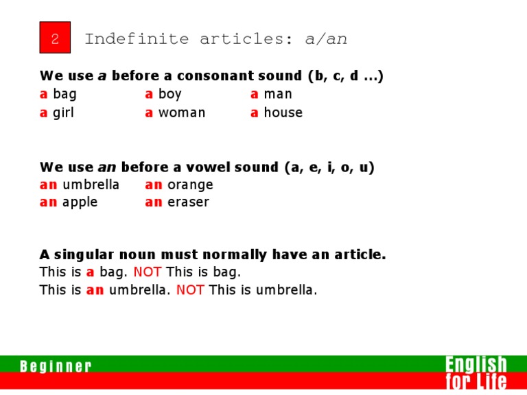 Unit 2 - Indefinite Article | PDF