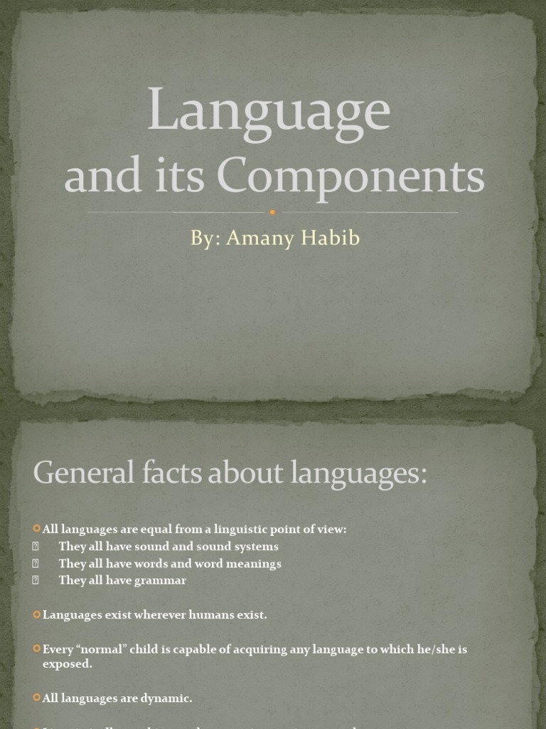 Language Components PowerPoint | PDF | Morphology (Linguistics) | Word