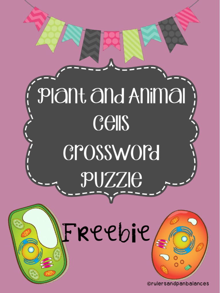 Plant and Animal Cells Crossword Puzzle: Freebie | PDF | Cell (Biology ...