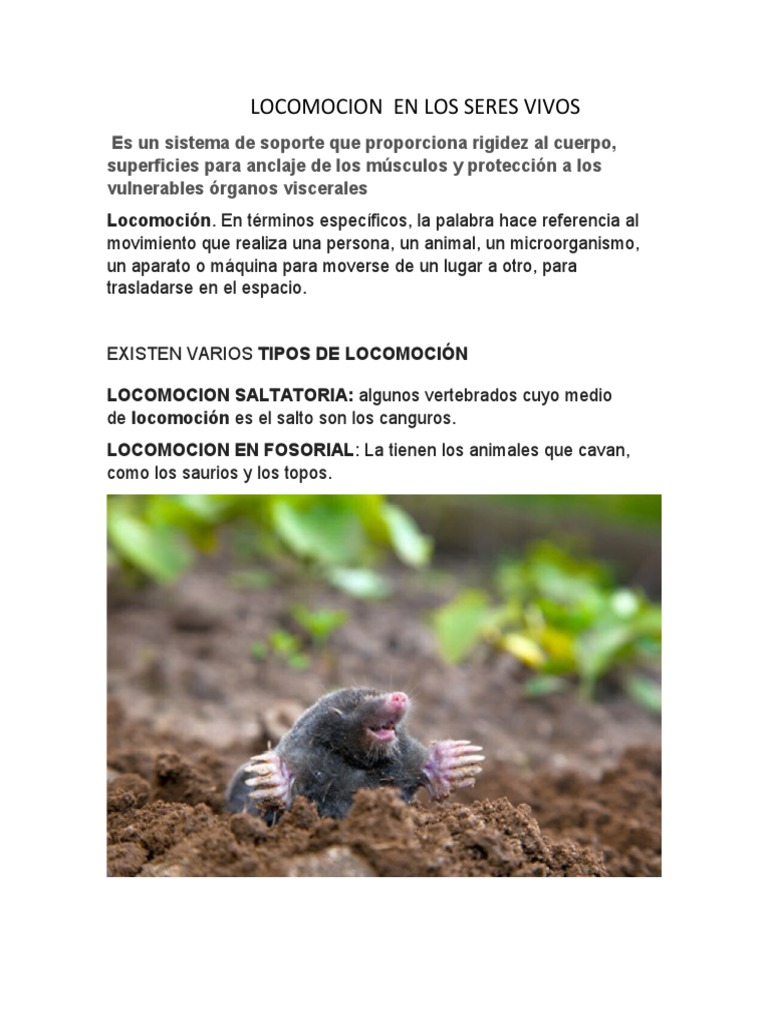 Tipos de locomoción en seres vivos | PDF | Esqueleto | Organismos