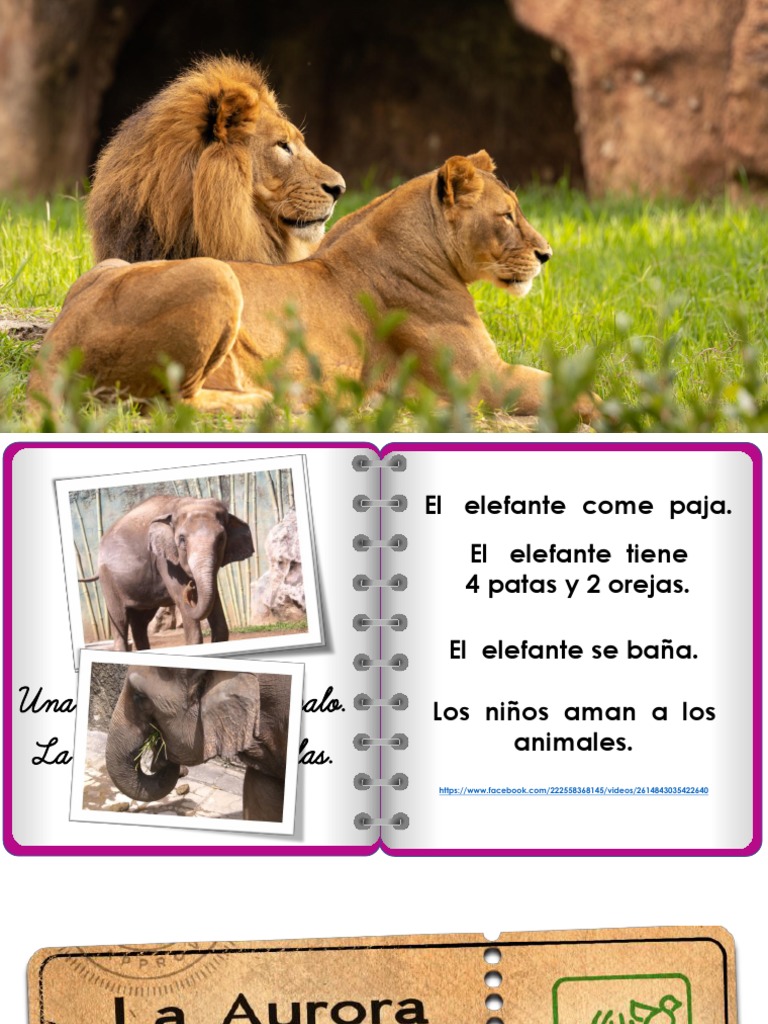 Lectura Oraciones Del Zoologico 2 PDF | PDF