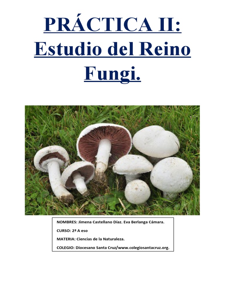 Práctica II El Reino Fungi | PDF | Hongo | Penicilina