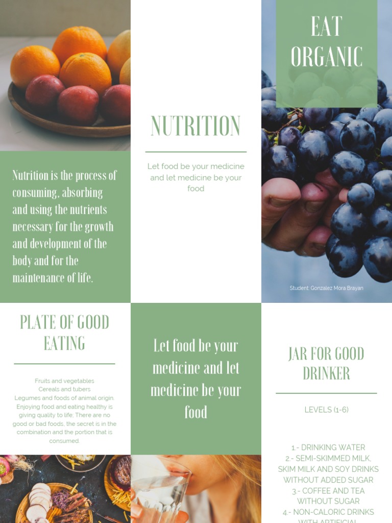 Brochure Nutrition | PDF