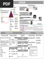 Micro, Matro y Macroambiente PDF | PDF | El embarazo | Embarazo Mamífero