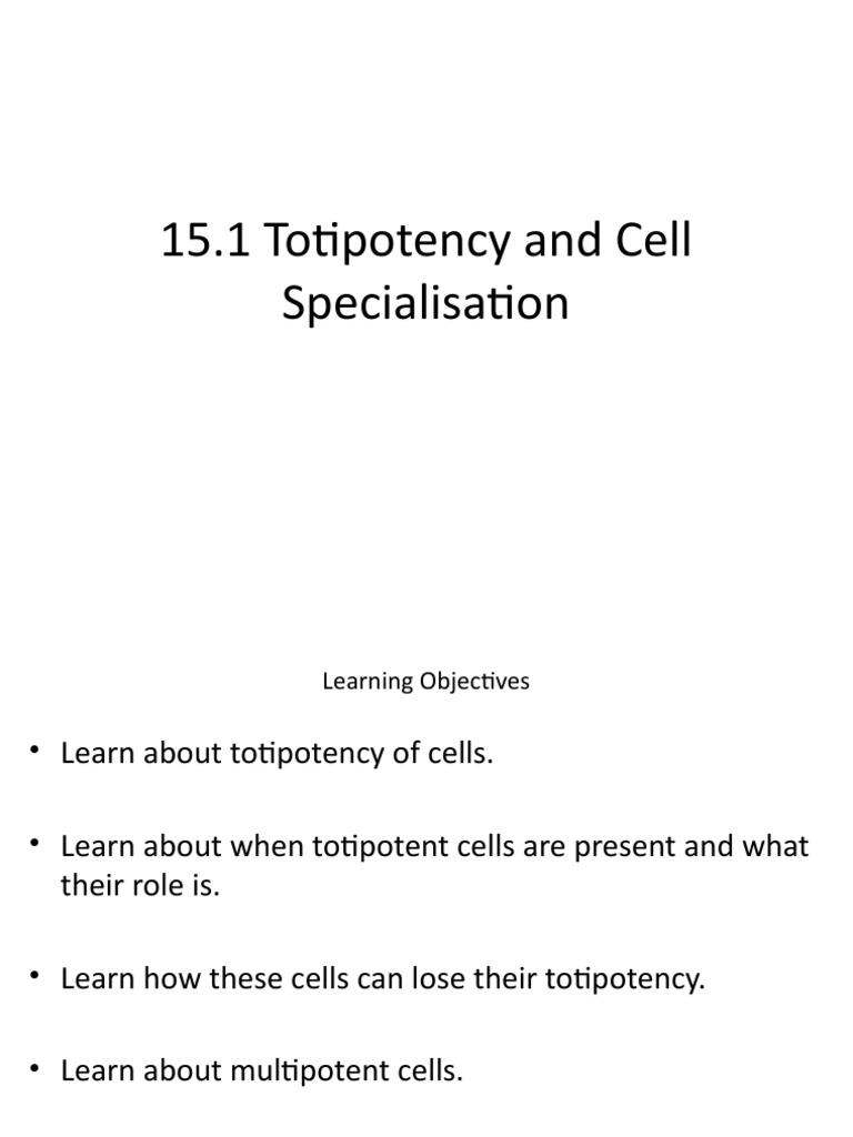 15.1 - Totipotency and Cell Specialisation | PDF | Cell Potency | Stem Cell