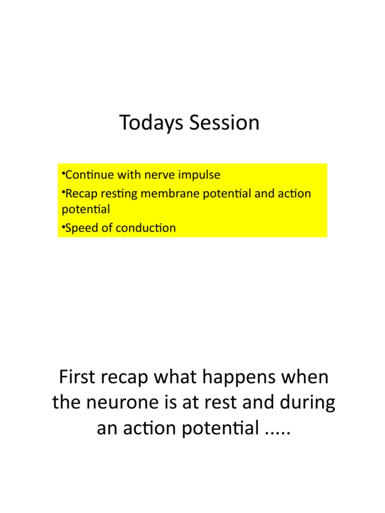 Todays Session: - Continue With Nerve Impulse - Recap Resting Membrane ...