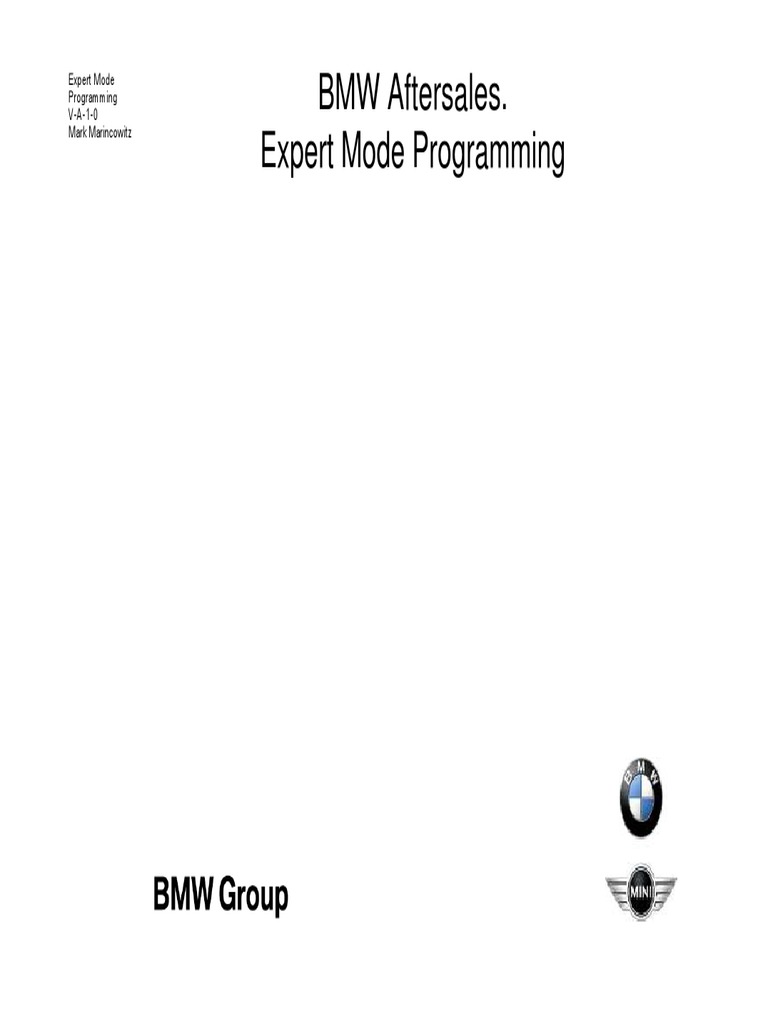 BMW Expert Mode Programming Guide | PDF | Computer Architecture | Computing